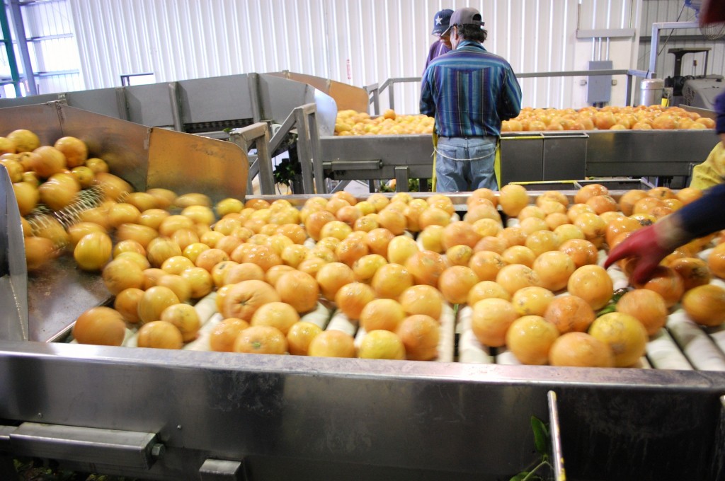 Sweet Life Presents Texas Talent ~ Carl de Kock from Rio Queen~ Mission ...